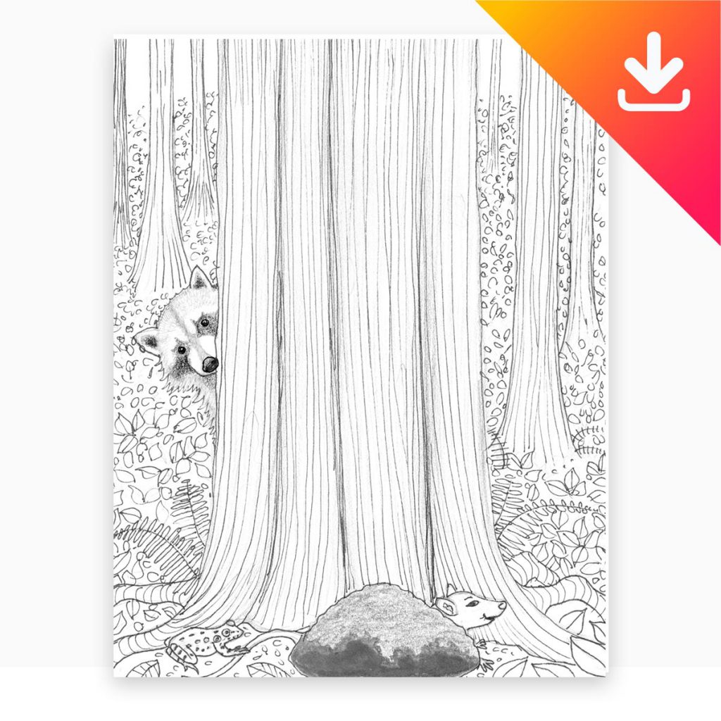 Colouring Activity | Let’s Play Hide and Seek – BC SRC