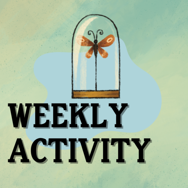 Activities – Week 1 – BC SRC